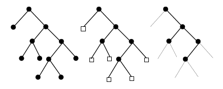 Counting binary trees - IgnouGroup